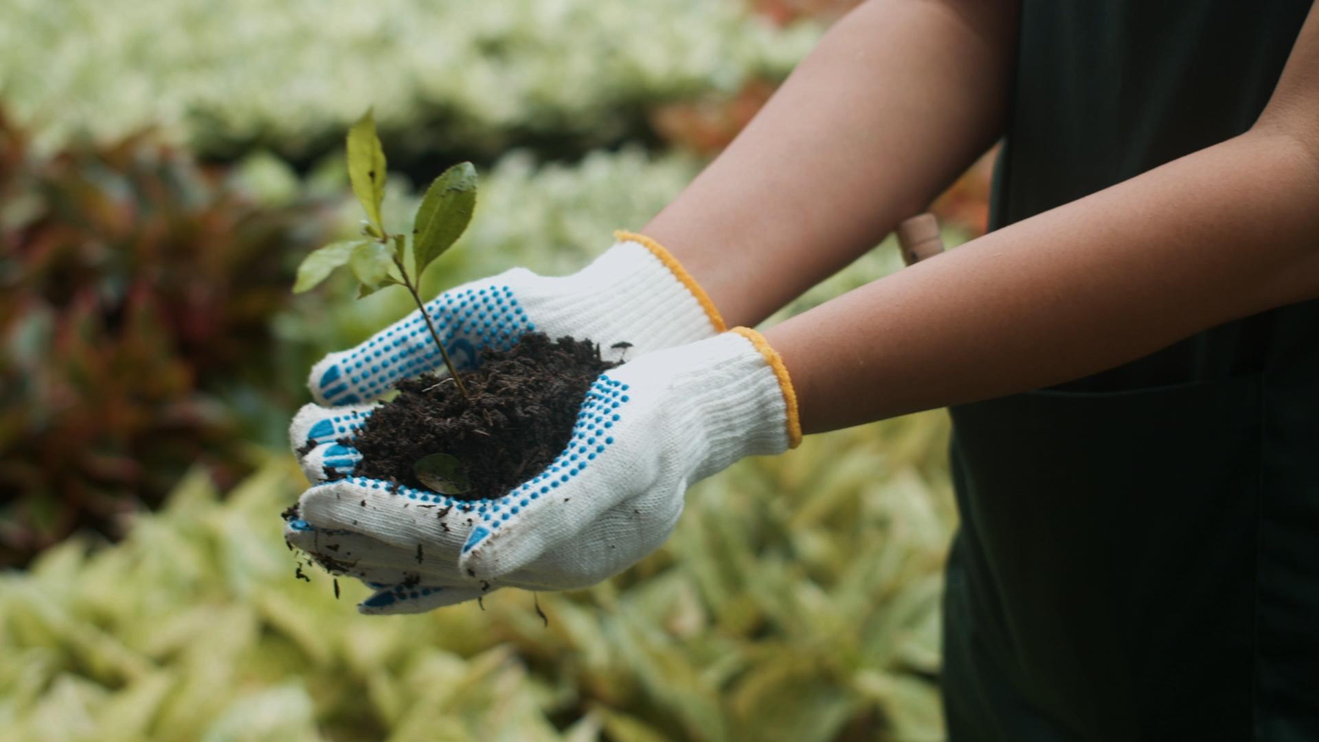 Alanfal – Fertilizers Industry Company